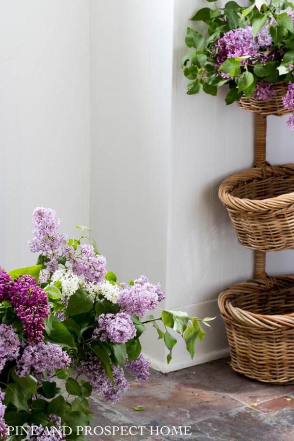 Decorating With Lilacs Like A Pro: What To Know Before You Cut Them ...