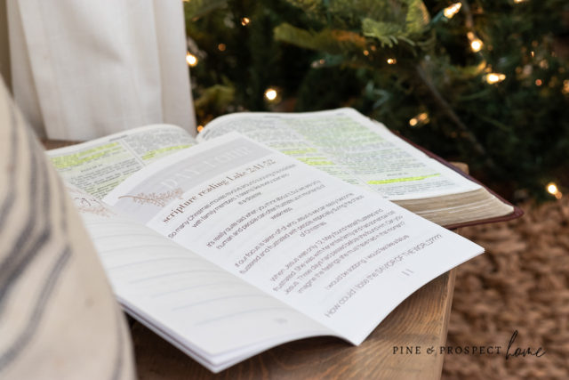 Women's Printable Christmas Devotionals: Plus A Children's Advent Bible ...
