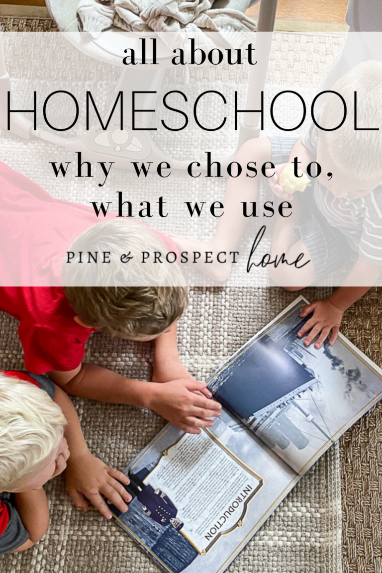 Why We Chose To Homeschool Our Boys And The Wonderful Resources We Use ...